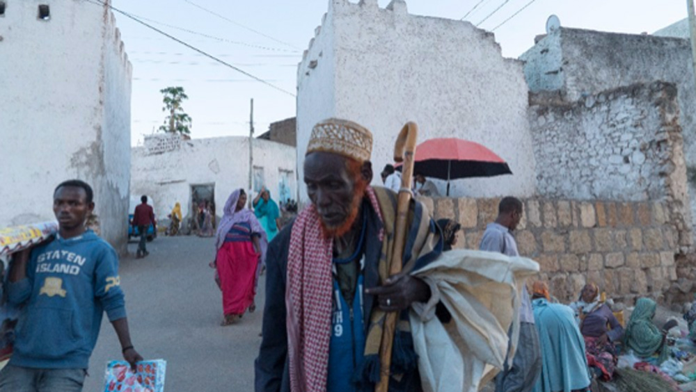 In the land of khat, young believers ready to die for the sake of the ...