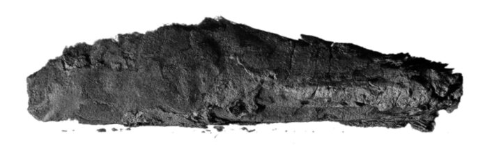 New technology unlocks burned Leviticus scroll, text unchanged in 2000 ...