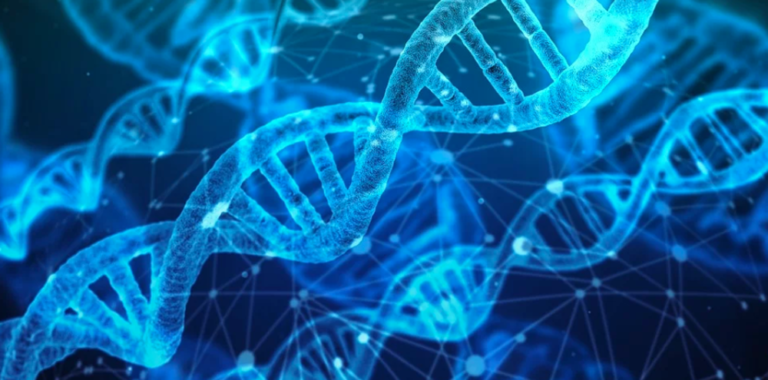 DNA’s mind-blowing digital information storage system | God Reports