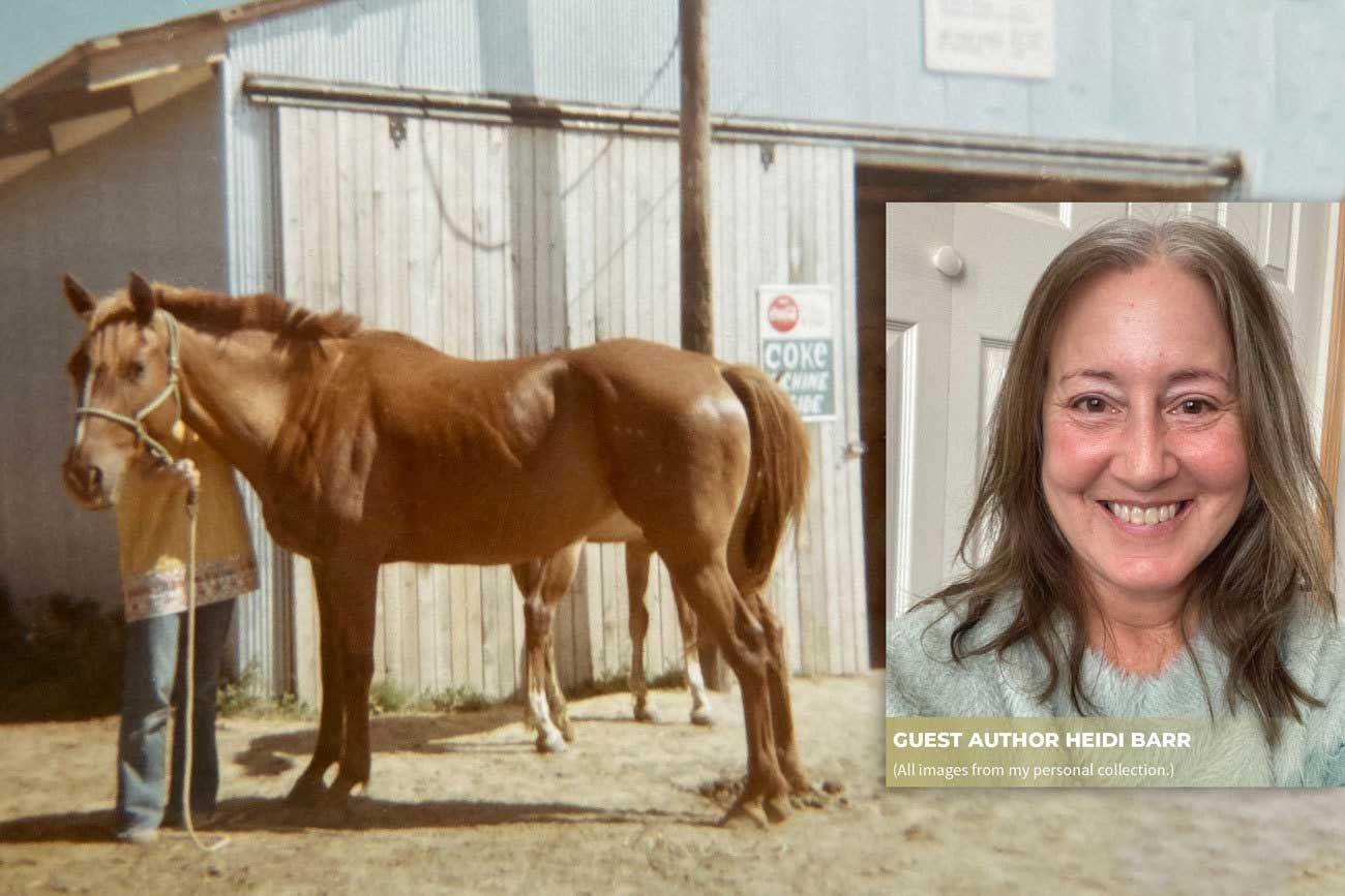 mmo-27-heidi-barr-cover | God Reports